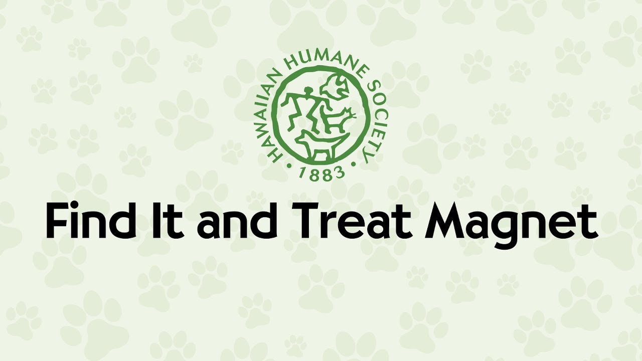 4C Find it and Treat Magnet - YouTube