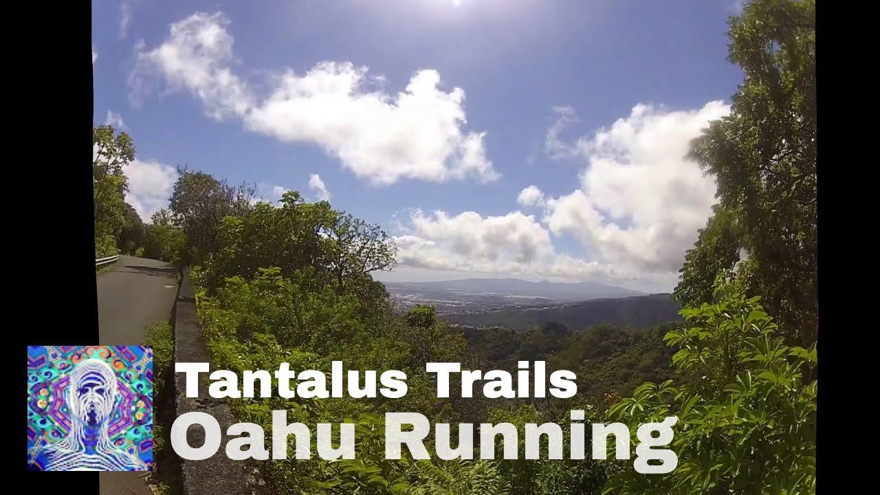 Running Tantalus Trails in Oahu - YouTube