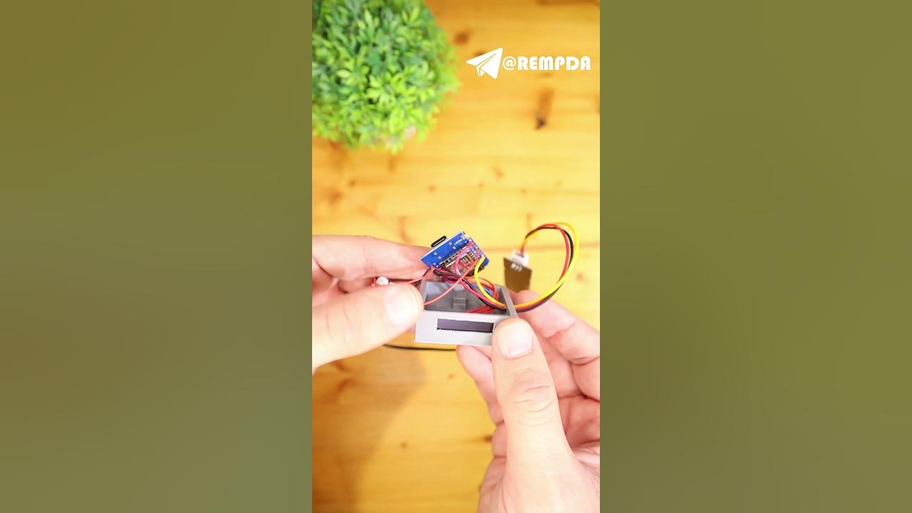 Умный автополив растений. КИБЕРДЕРЕВО!!!!! - YouTube