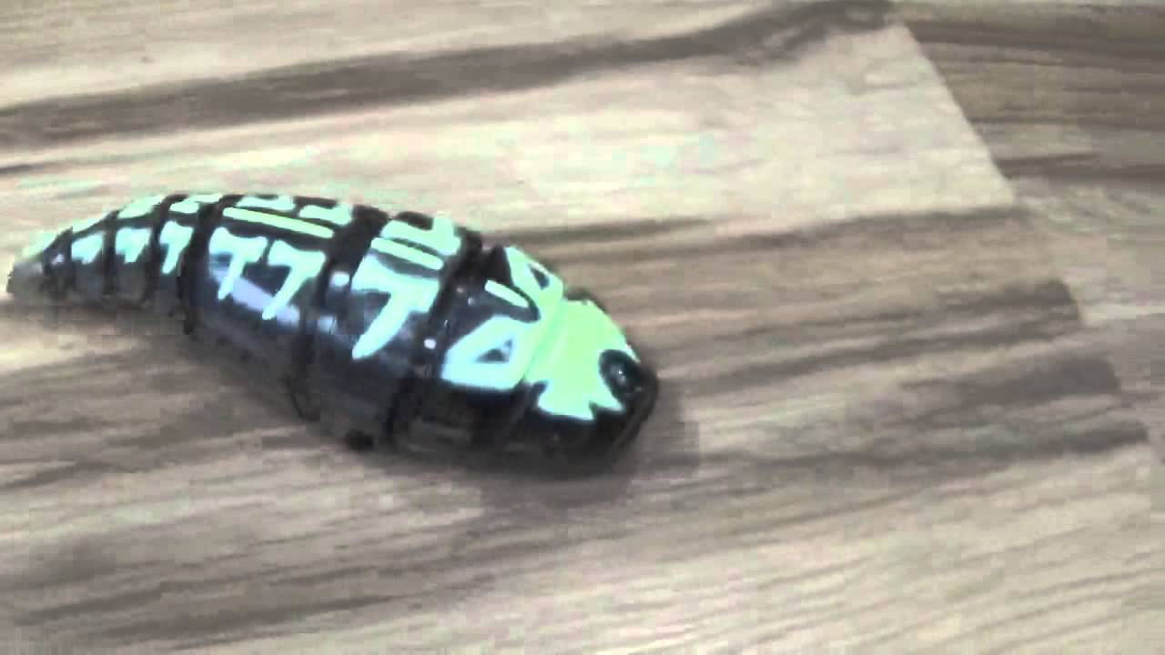 Hexbug – Zombie Larva Glow in the Dark - YouTube