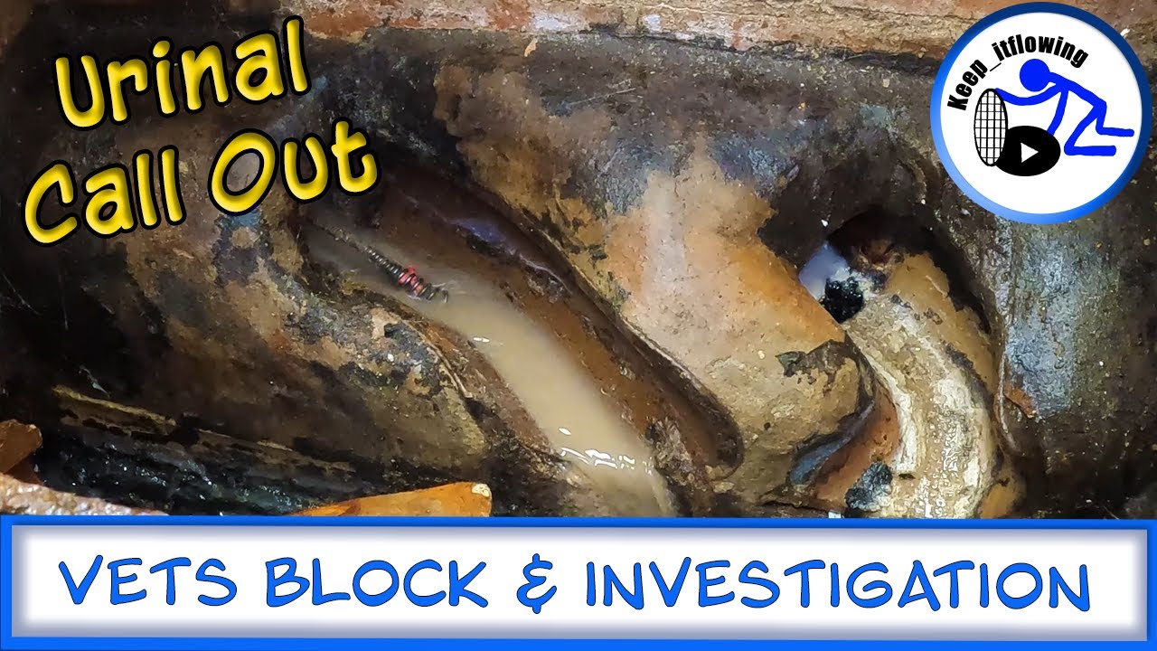 Urinal Call Out - Vets Block & Investigation - YouTube