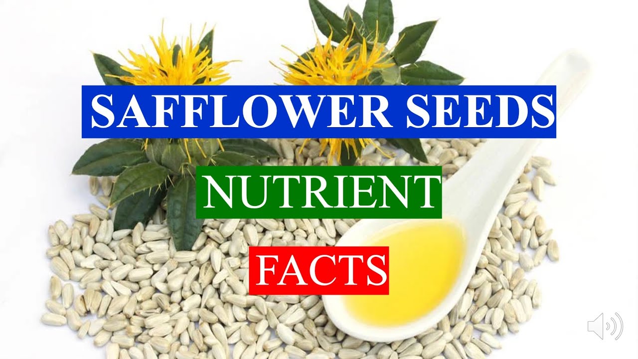 SAFFLOWER SEEDS - HEALTH BENEFITS AND NUTRIENTS FACTS - YouTube