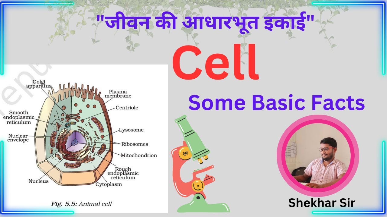 Some basic facts about Cell - YouTube