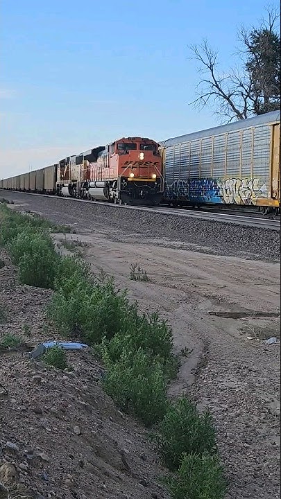 BNSF 8471 ACe Lead SB Coal Train! #bnsf #railway #bnsfrailway - YouTube