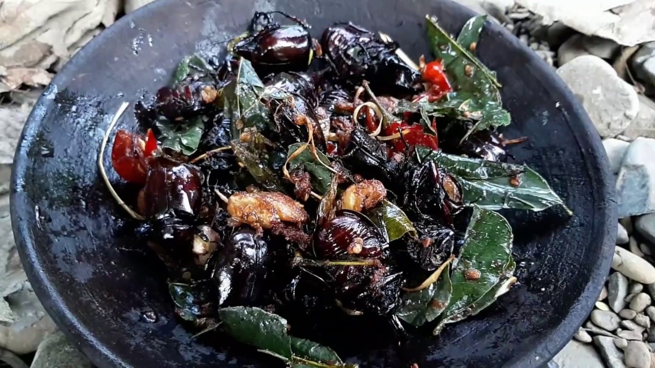 Primitive Technology - find Beetle - cooking beetle in the clay eating ...