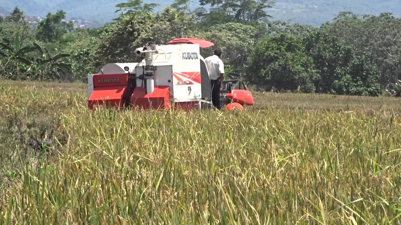 COSECHADORA KUBOTA DC 70G - YouTube