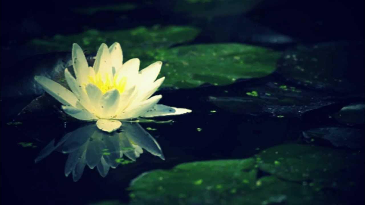 "The Days Gone By" Poem written by James Whitcomb Riley. IIlluminations ...