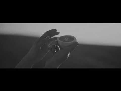 INSANE(handpan music video)by sanaz sheikhshoaei