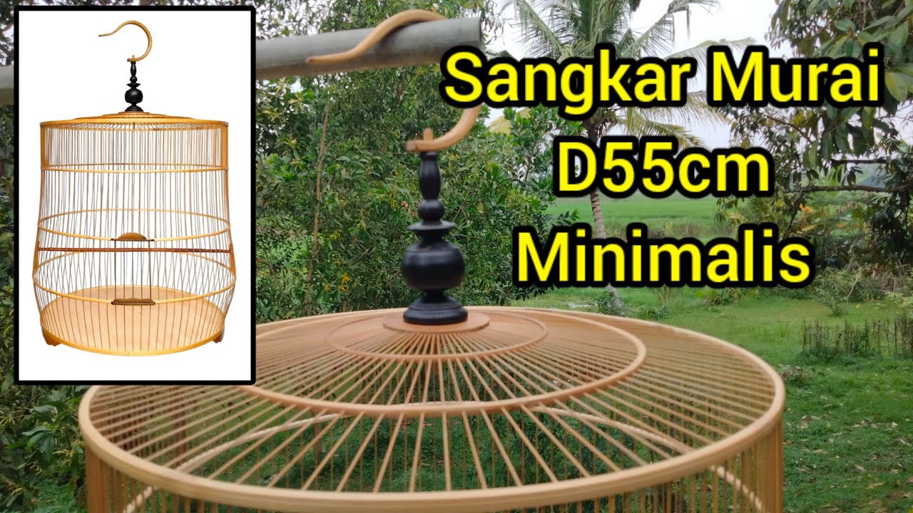 (S.171) Selera sangkar minimalis simple ringan (murai) / handmade - YouTube