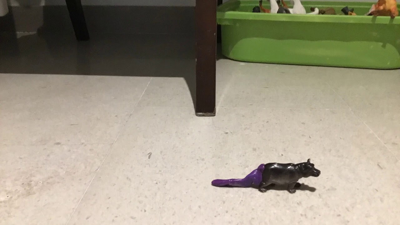 Opossum Sound Effects - YouTube