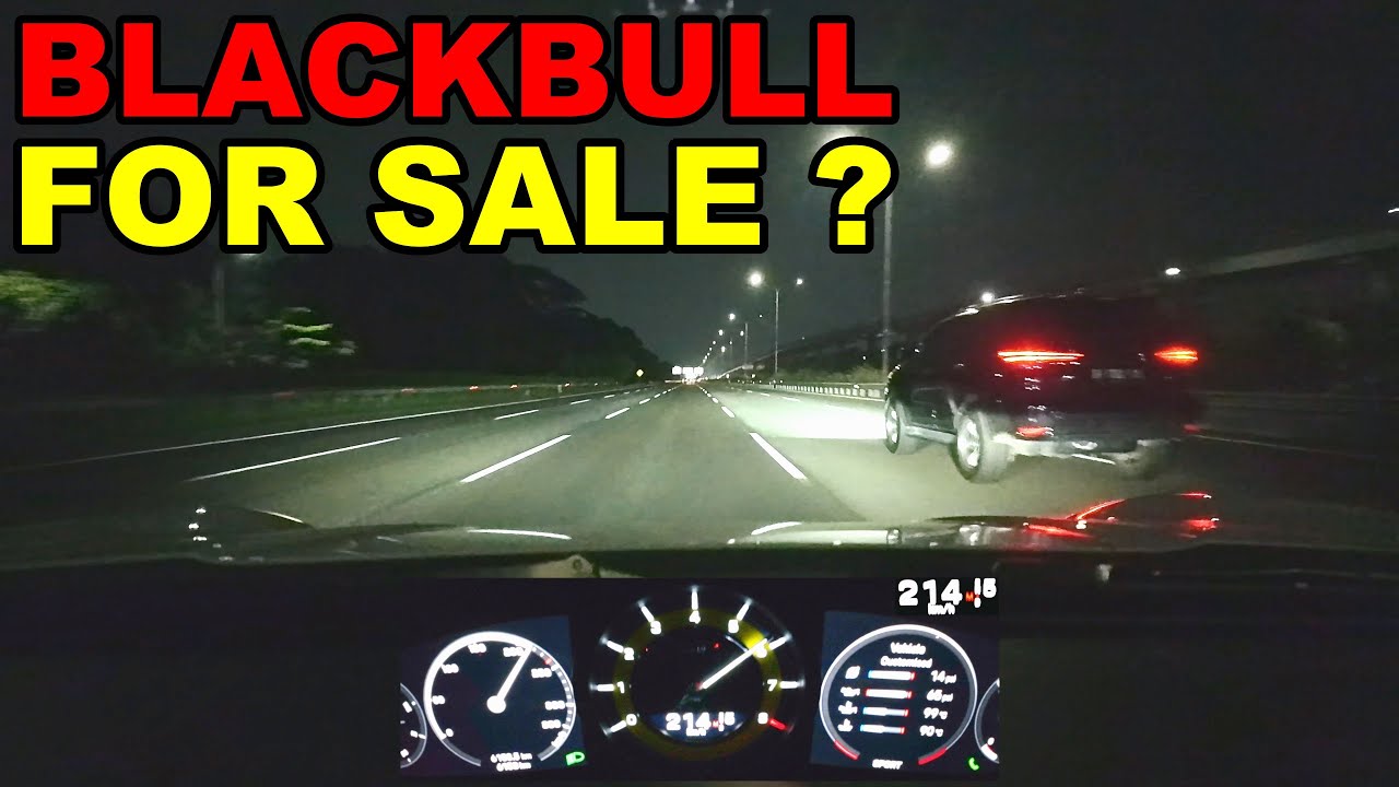 nov 22, '24 // PIG vs BULL 2.0 -- thank you koko SURYA - YouTube