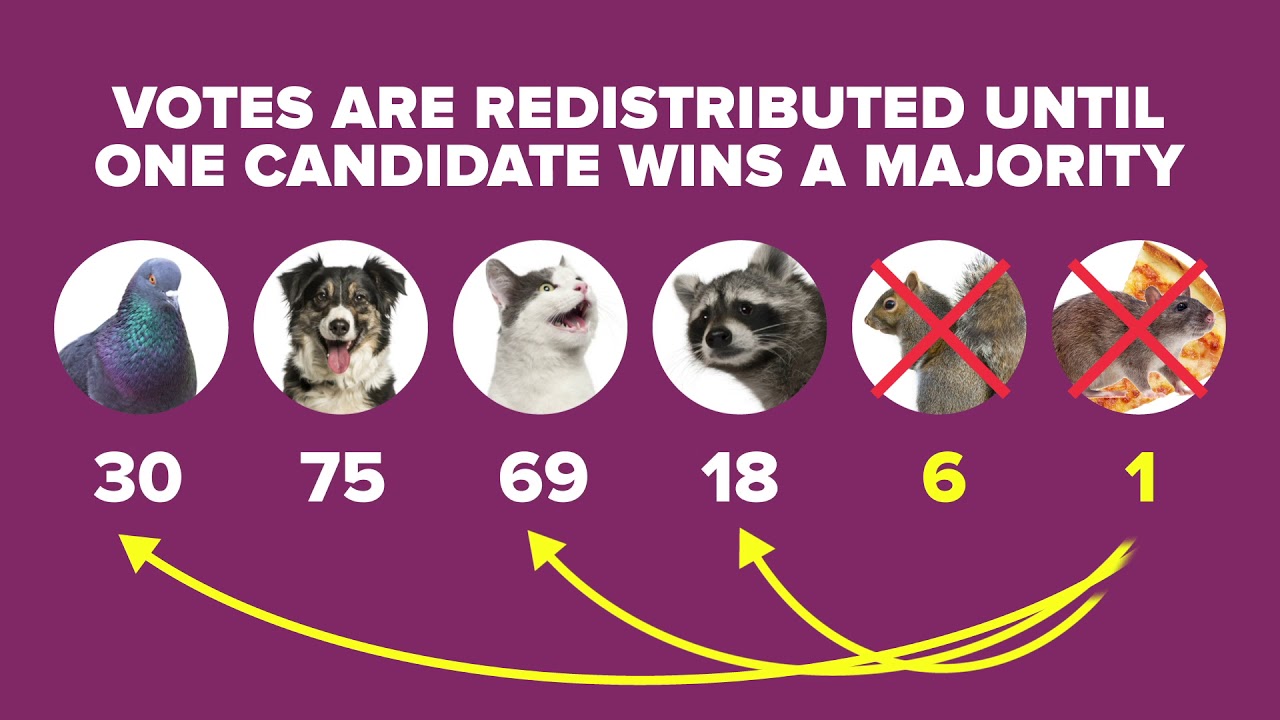 Ranked Choice Voting Explained - YouTube