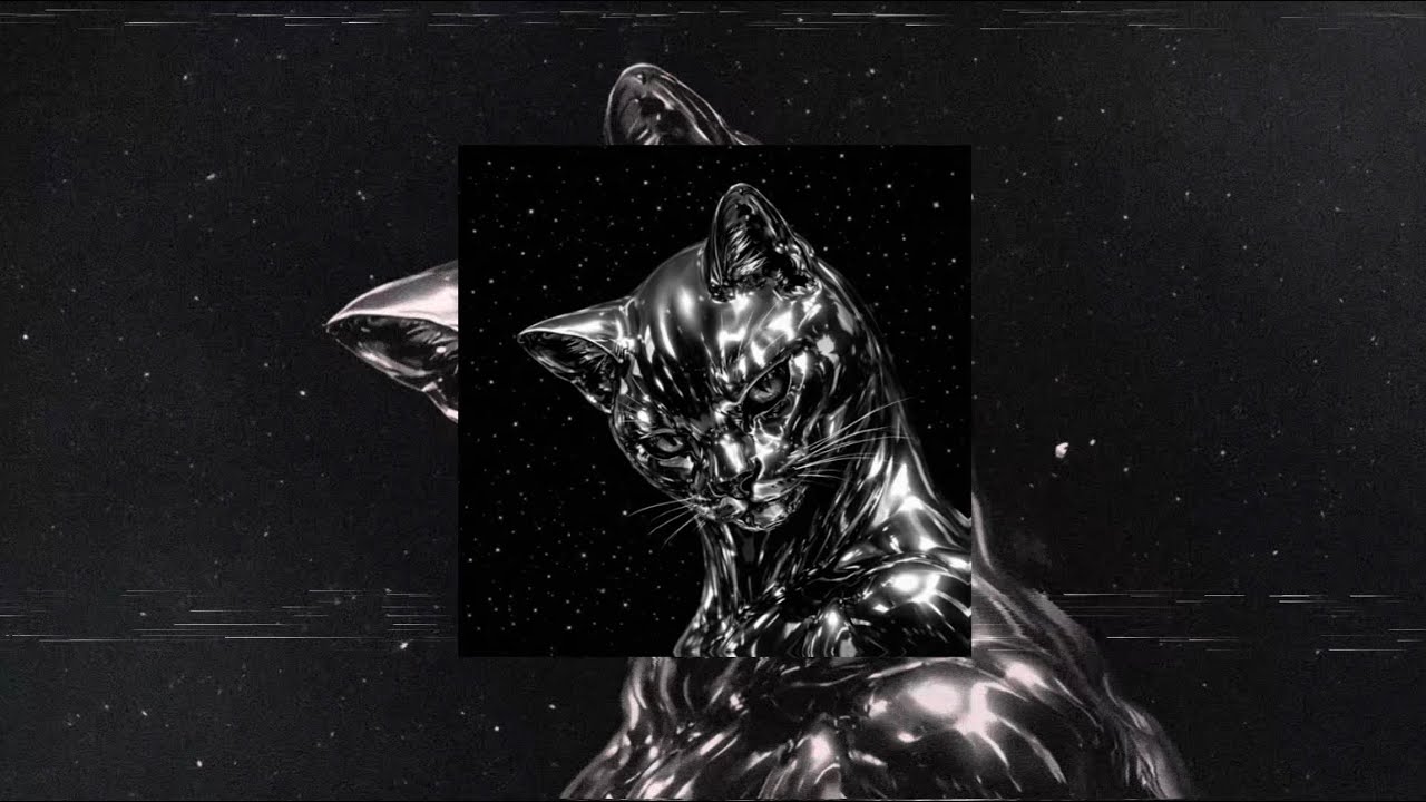 The Meowing Of Cats In Space - zalwex - YouTube