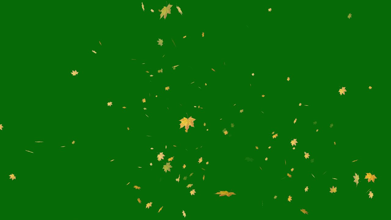 green screen leaf | autumn leaves green screen | tree leaves green ...