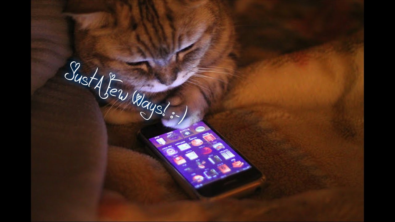 What to do while your waiting for someone to text reply! 🙀 - YouTube