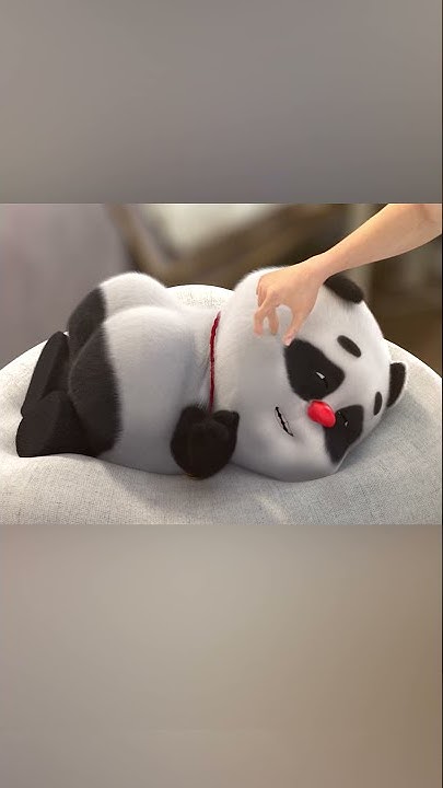 【熊猫班卜 】wake up!!! Bamboo!!!#panda #chinese #cute - YouTube