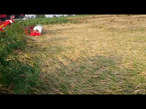vari kotha mission - YouTube
