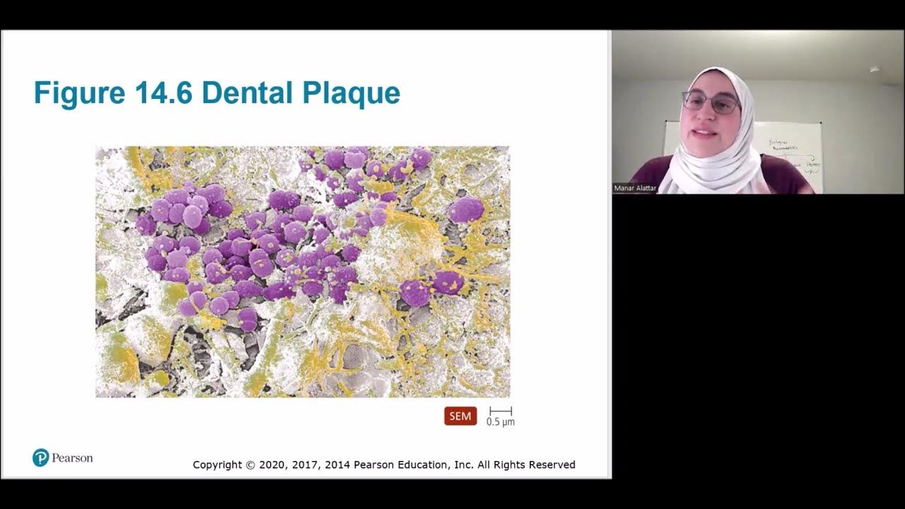 Lecture 12 [Part 1/1] Chapter 14 - YouTube