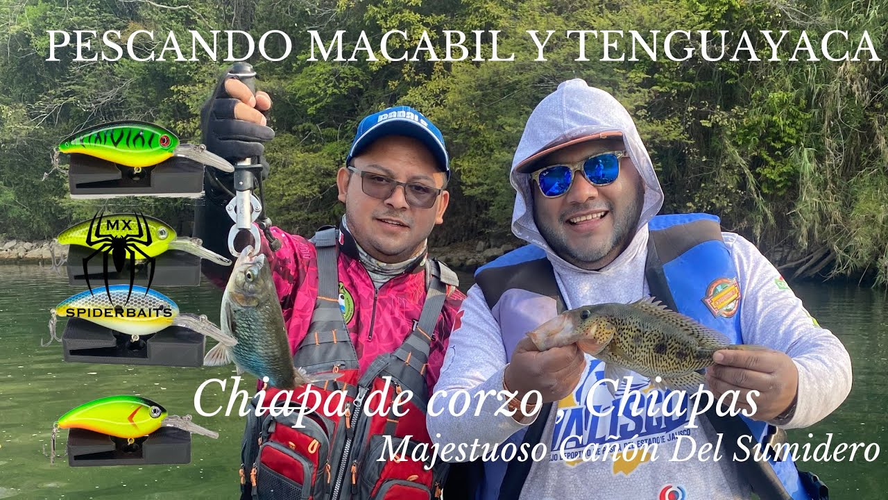 PESCA DE MACABIL Y TENGUAYACA EN CAÑON DEL SUMIDERO CHIAPAS - YouTube