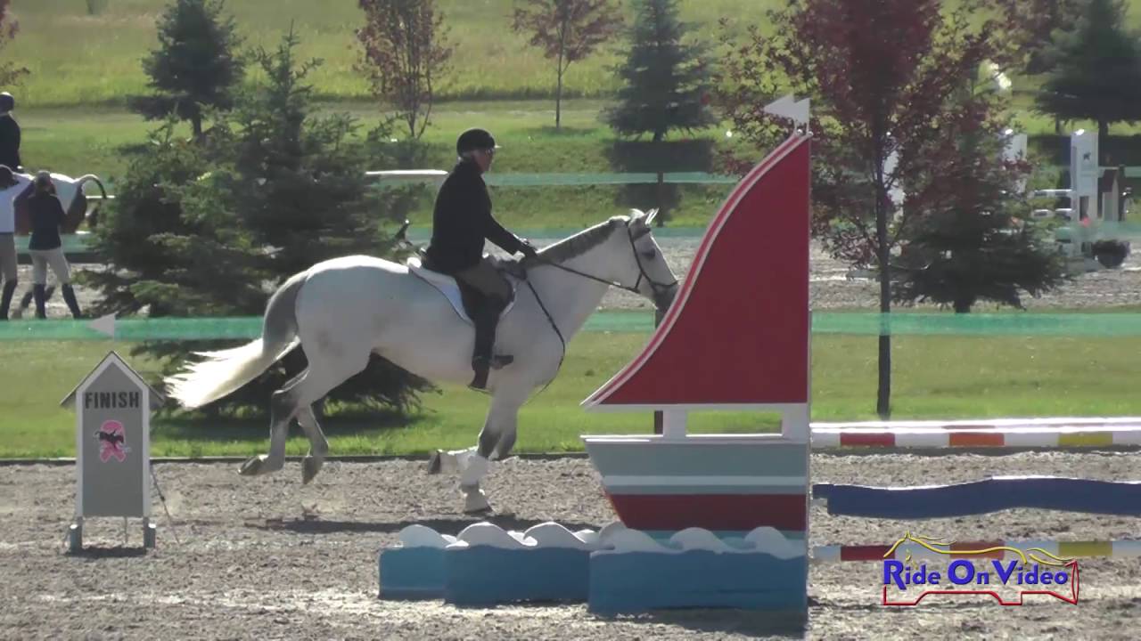 273S Willis Kurtz on Windsor SR Open Training Show Jumping Rebecca Farm ...