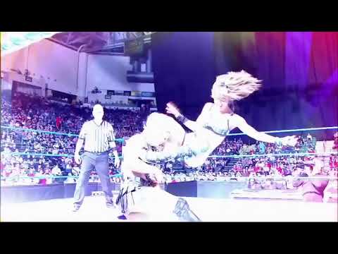 WWE AJ Lee 2012 Titantron [720p]