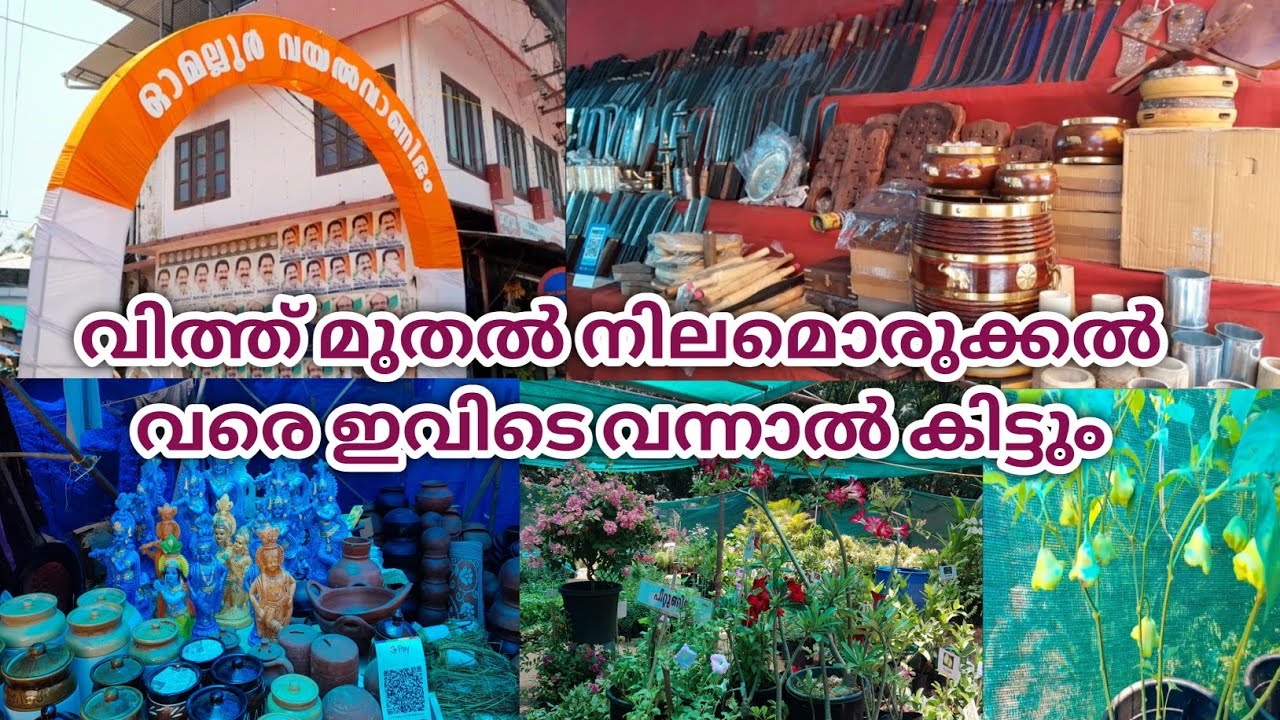 ഓമല്ലൂർ വയൽ വാണിഭം 2024|Omalloor Vayal Vanibham|Village life|Evidam ...