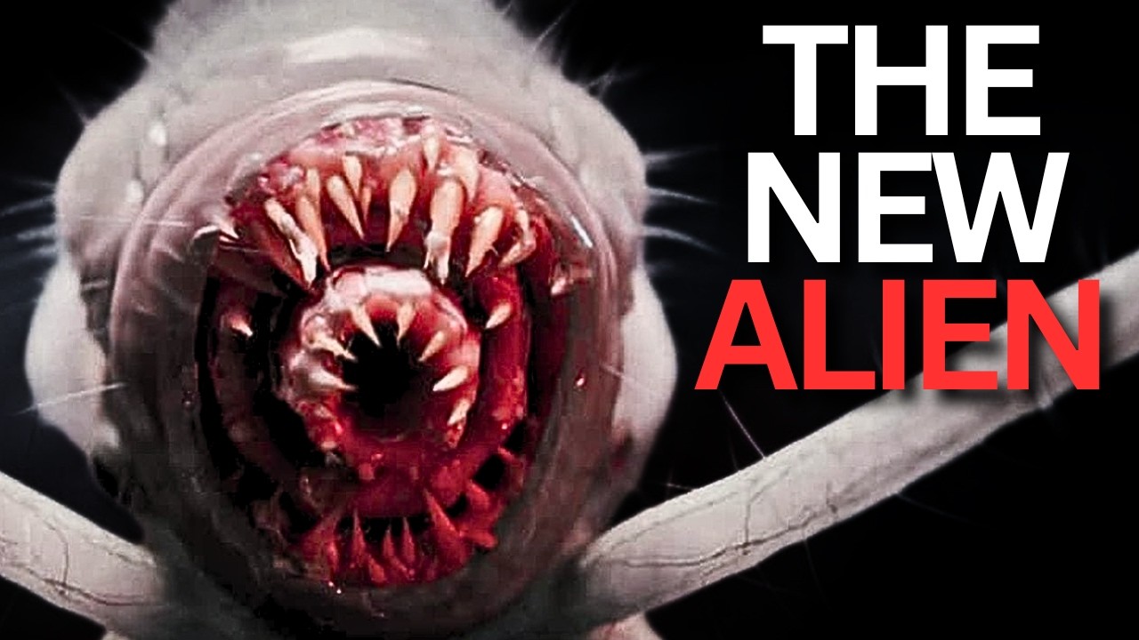 Alien Earth's New Creature Is WAY Scarier Than The Xenomorph... - YouTube