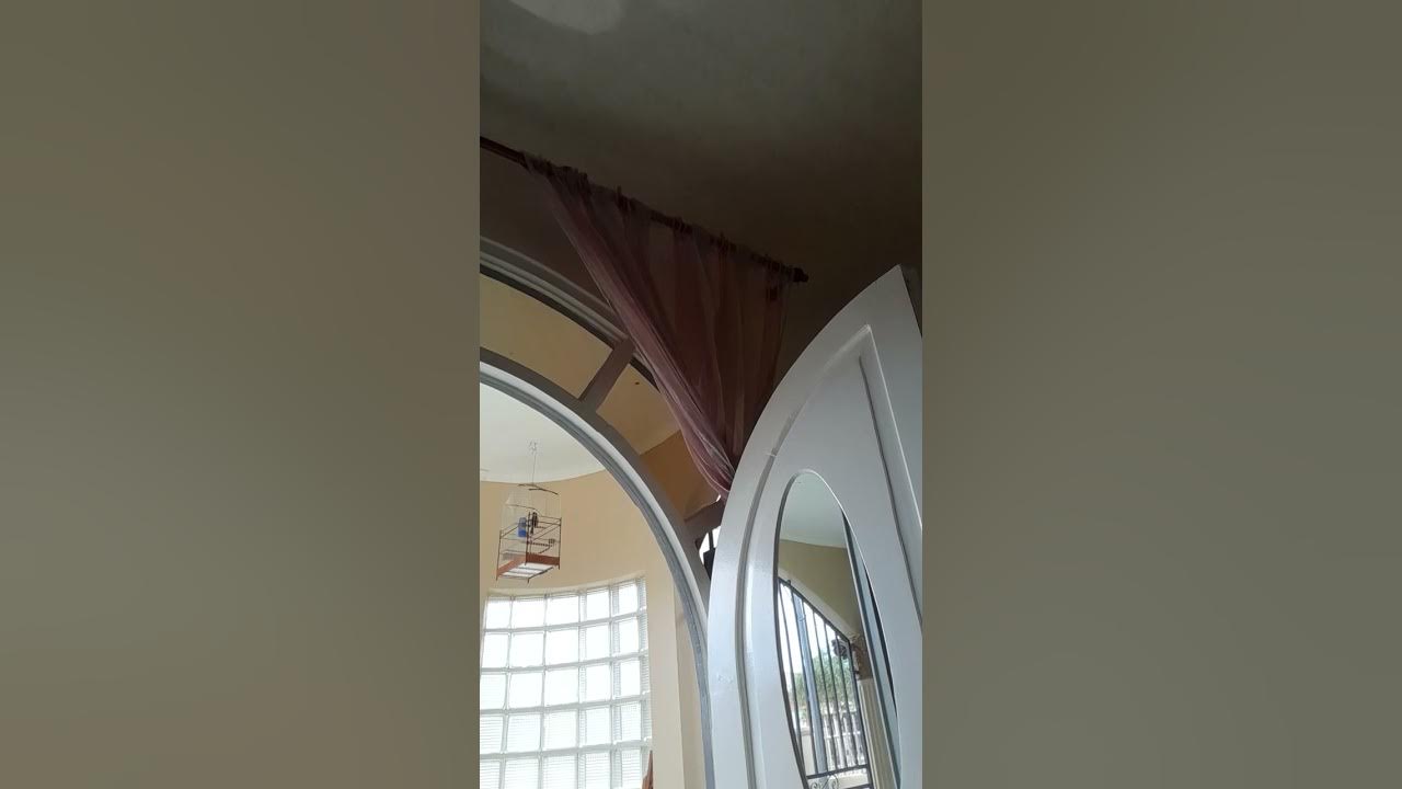 Picolet Suriname/Djino /Baas - YouTube