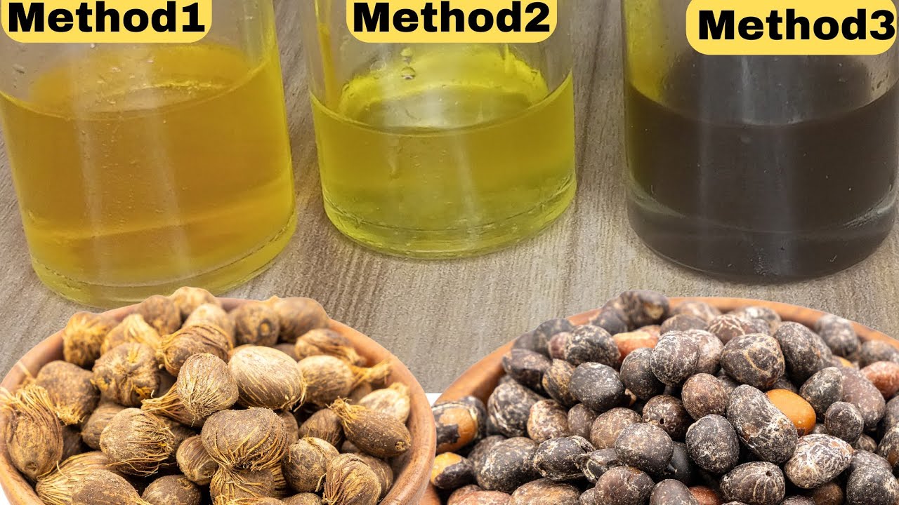 How To Make Palm Kernel Oil In 3 Different Ways At Home! - YouTube