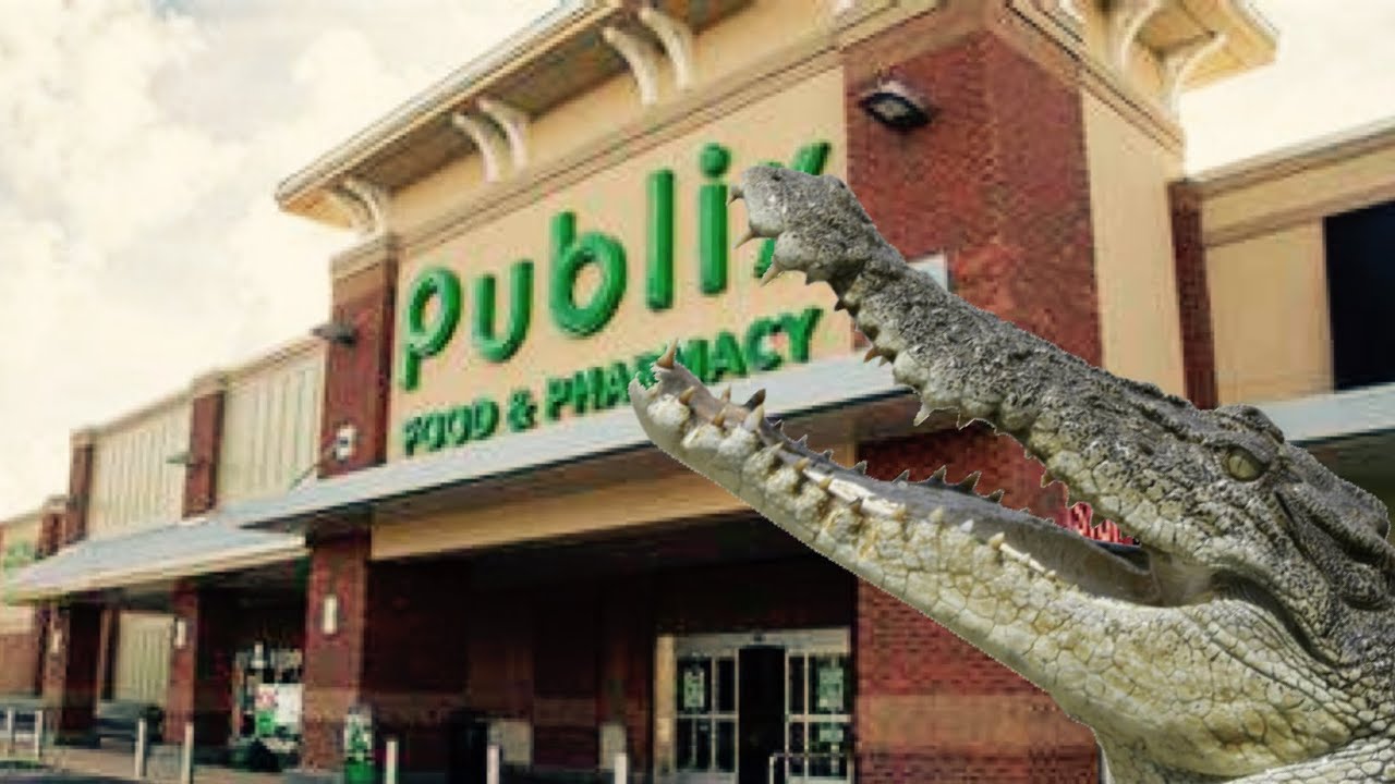 Alligator in Publix Parking Lot in Tampa!!! - YouTube