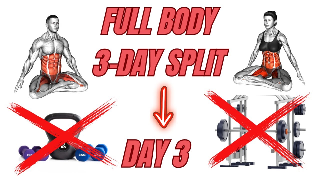 3 day split full body workout for beginners Day 3 | MuscleconnectionUS ...