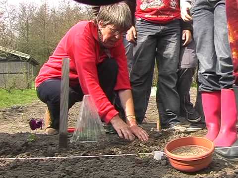 lente-ui planten - YouTube