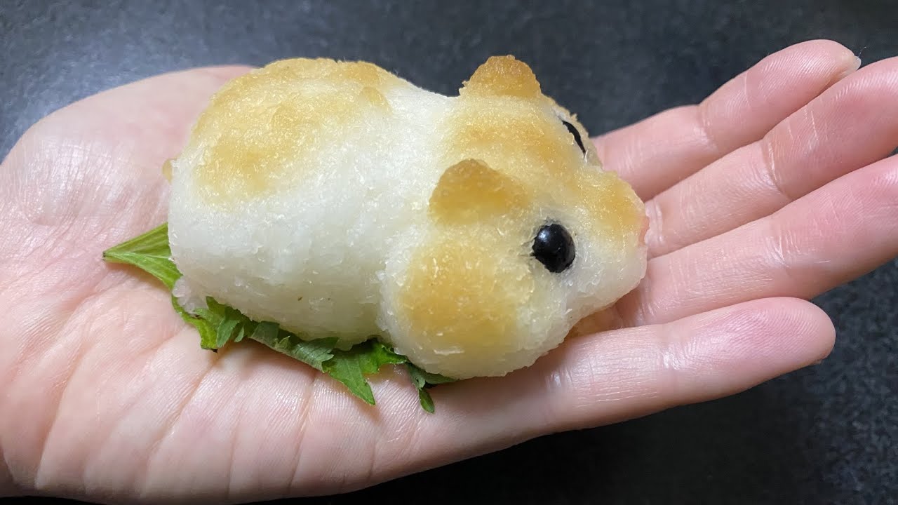 Hamster On My Plate! - YouTube