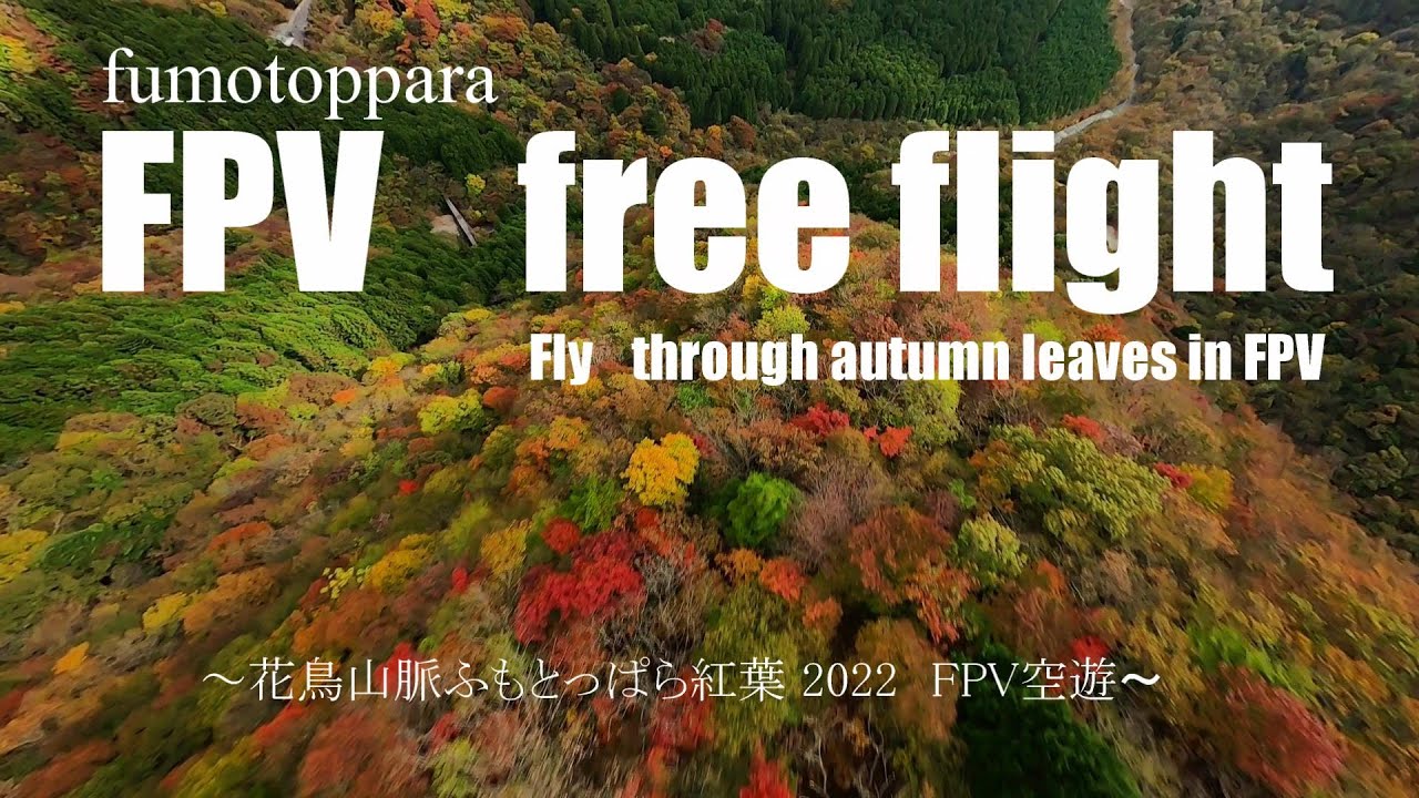 Fly through autumn leaves in FPV 〜花鳥山脈の紅葉🍁FPV free flight〜 - YouTube