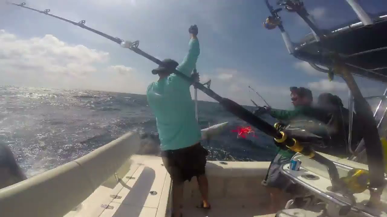 Mexico Beach, Fl - Trolling Bluewater - YouTube