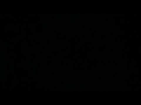 VID 20231127 211806