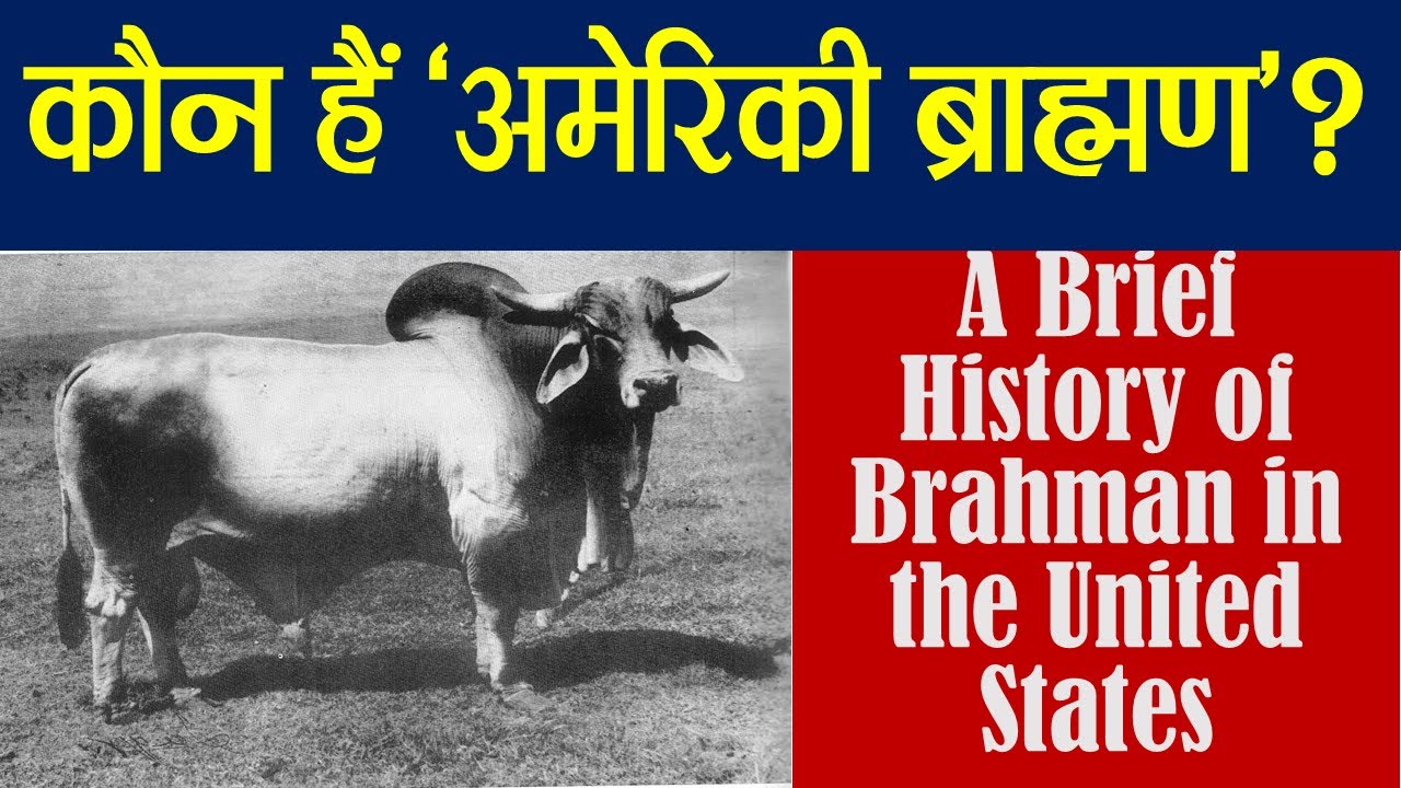 कौन हैं ‘अमेरिकी ब्राह्मण’? A Brief History of Brahman in the United ...