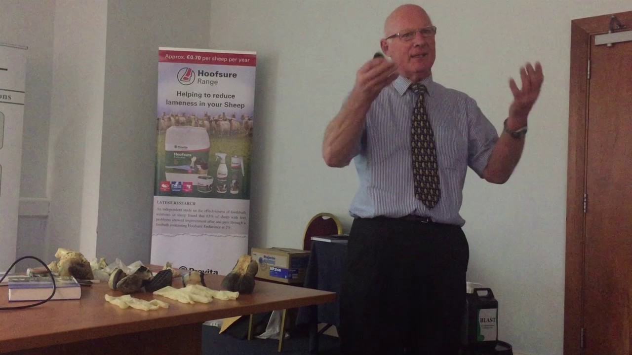 Tackling lameness with Roger Blowey - YouTube