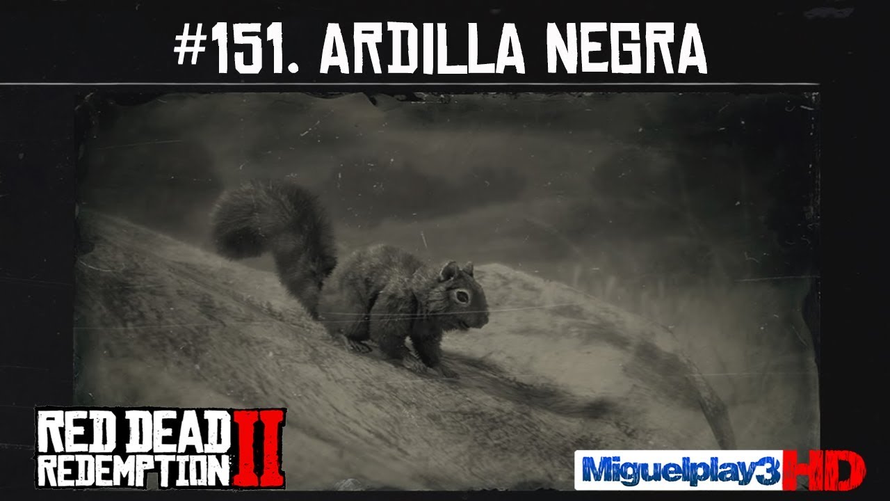 Localización Ardilla Negra - #151. Compendio Animales - Red dead ...