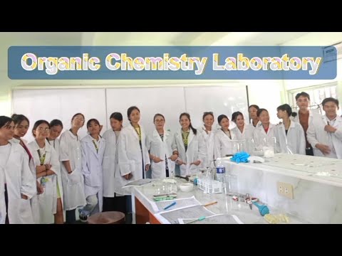 Ingredients and procedure for making soap | Organic Chemistry ...