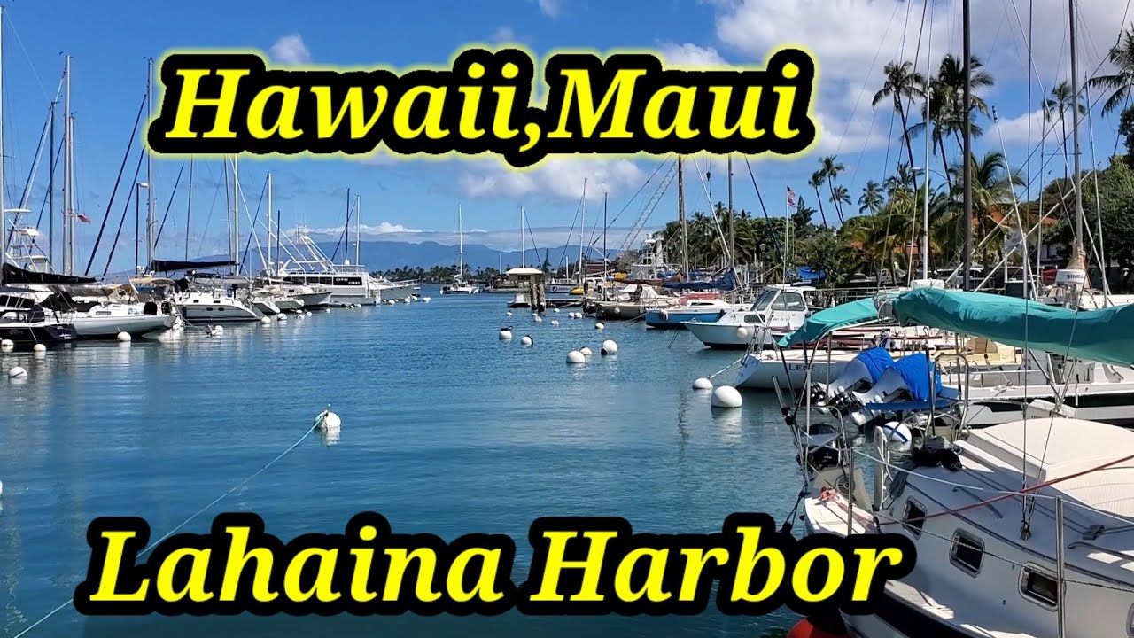 LAHAINA MAUI HARBOR (WALKING TOUR) - YouTube