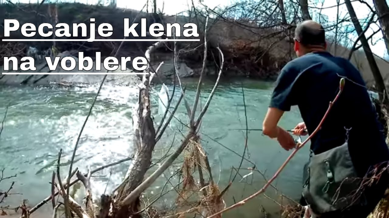 Pecanje klena na voblere - Yogi i Ujka vobleri - YouTube