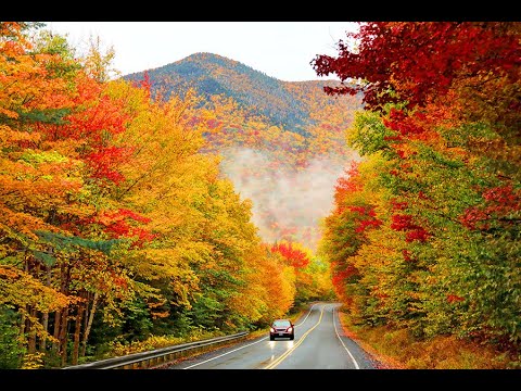Vermont fall foliage scenic drive in 4K. Must visit place in Fall ...