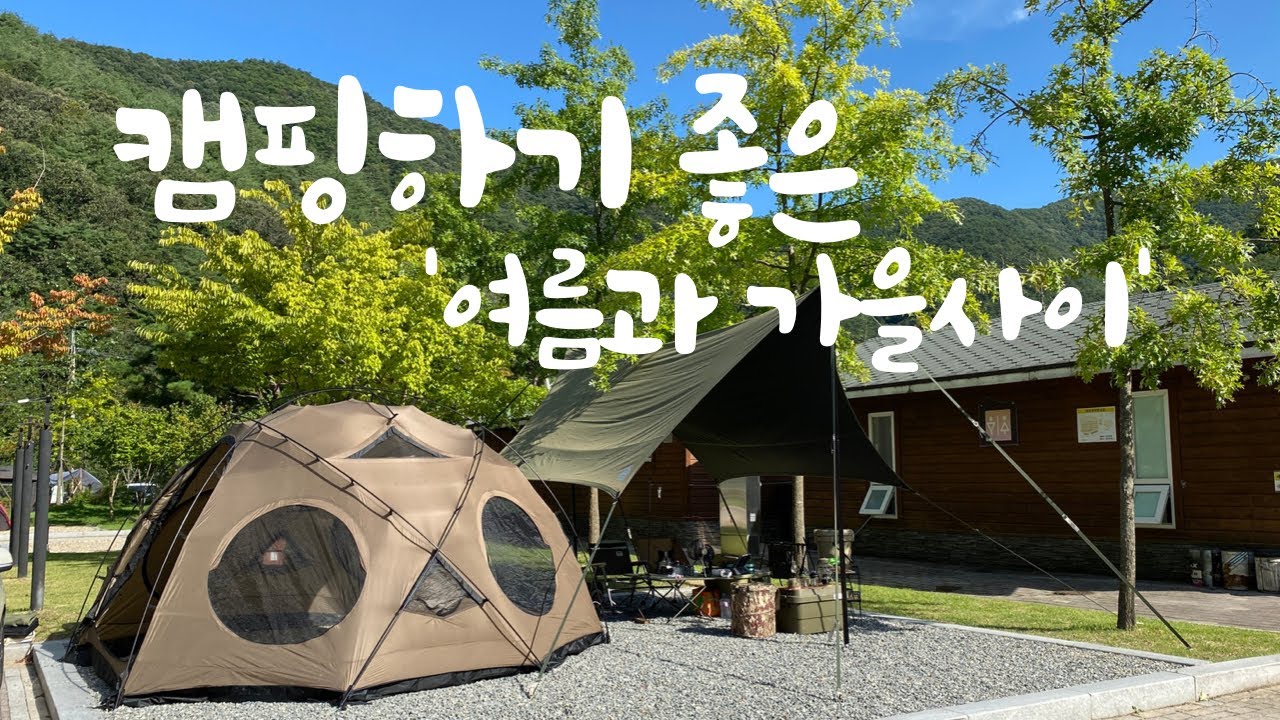시원한 바람이 부는 요즘같은날 I 캠핑하기 더할나위 없이 좋은 계절 I 혼술 I 먹방 I 불멍 I 솔캠 I 애견동반 I 상소오토