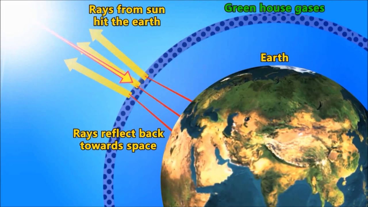 Science Project For College YouTube science-project-for-college-youtube