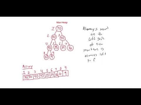 Heap 1.2 - Heap Insertion - YouTube