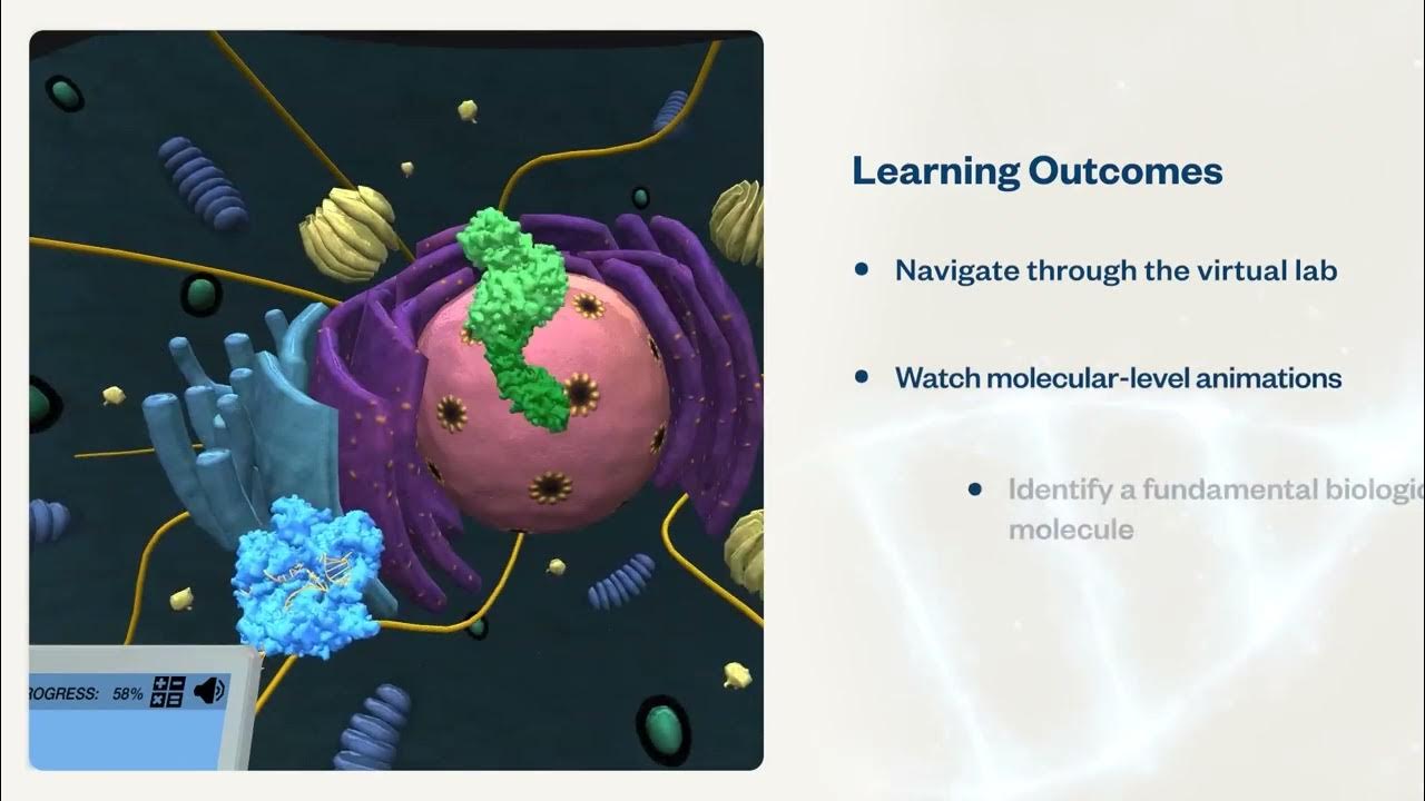 Demo Simulation | Virtual Lab - YouTube