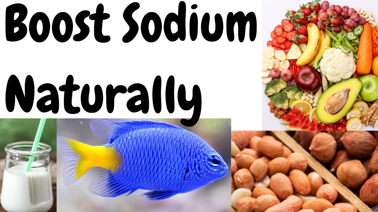Which Healthy Foods Should You Eat When You Have Sodium Deficiency ...
