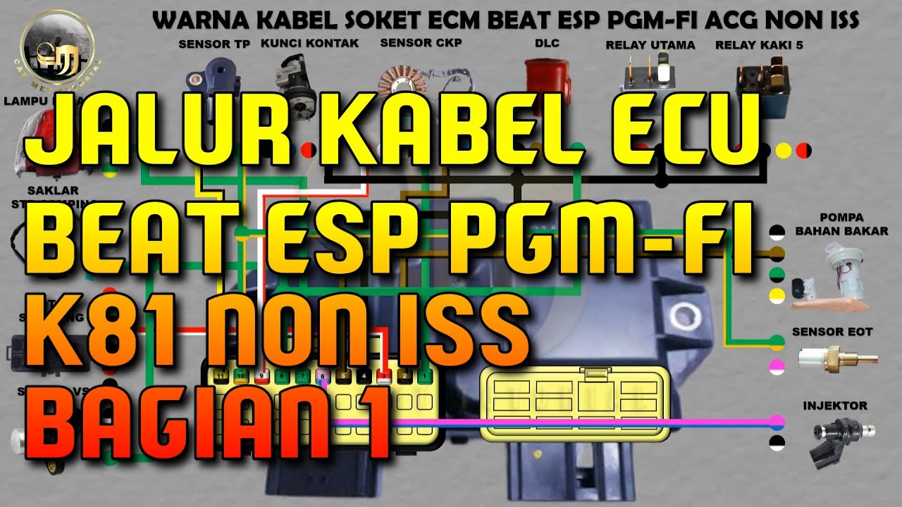 Warna kabel ECU Beat eSP PGM FI ACG starter halus K81 Bagian 1 || Kelistrikan Sepeda motor 139 ...