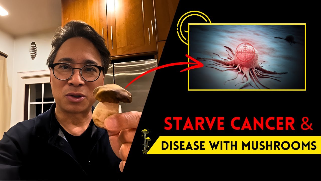 1 SUPERFOOD That KILLS Cancer & Burn FAT | Dr. William Li - YouTube